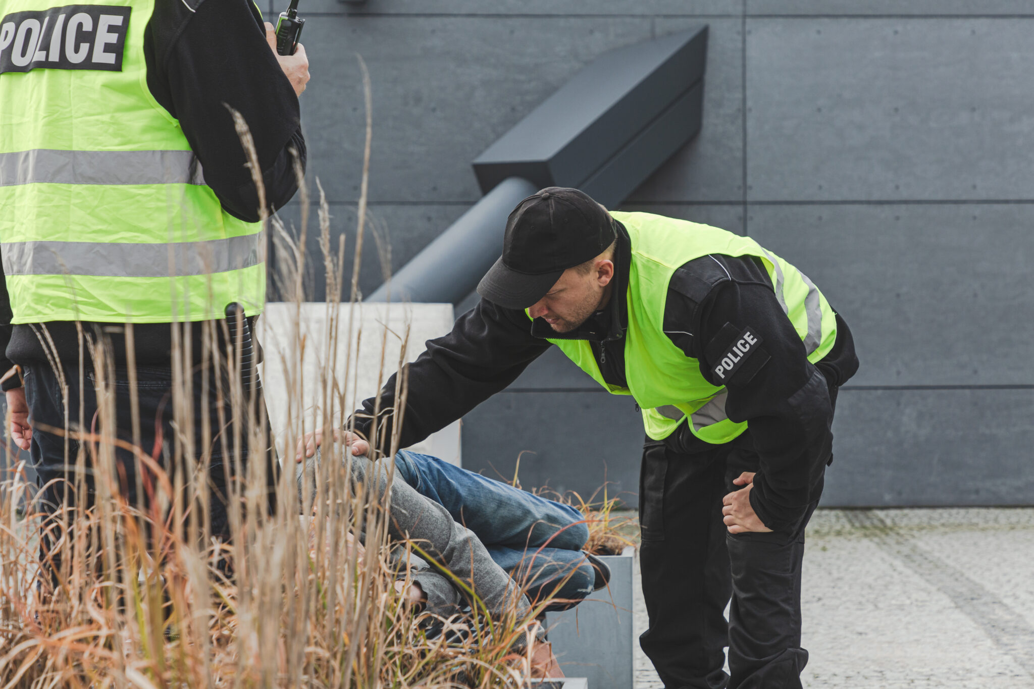 Capable Allies: Partnering with Law Enforcement in Response to ...